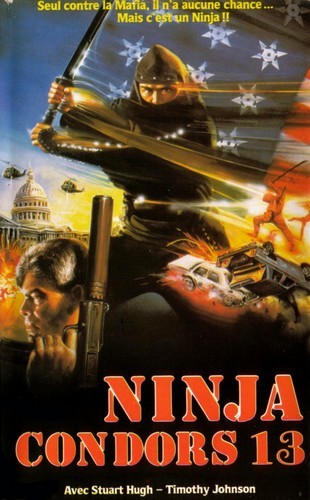 Ninja Condor 13 - la chronique de Nanarland
